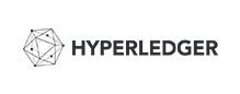 Hyperledger Blockchain Development Services Damco Solutions