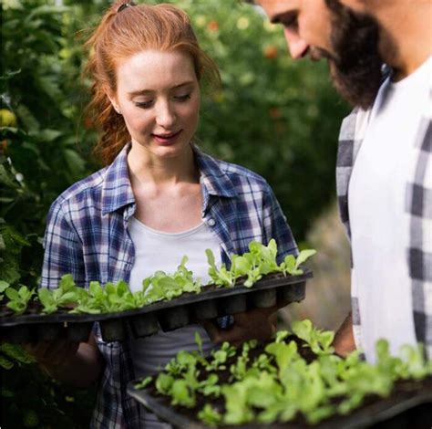 The Benefits Of Using Seedling Trays For Plant Propagation