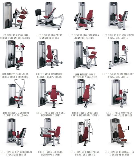 Chinese Life Fitness Signature Seated Leg Press
