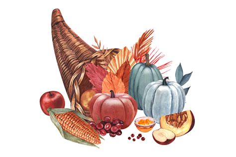 호박과 야채를 곁들인 수채화 Cornucopia 손으로 그린 그림 절연 통하고 있는 백색 배경 메뉴 카페 템플릿 음식 요리 포장