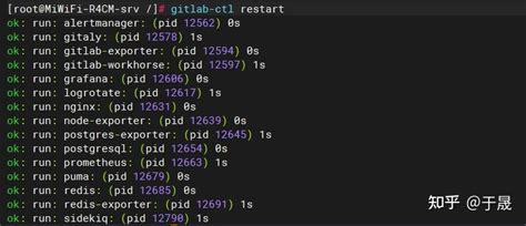 Linux搭建gitlab服务器 知乎