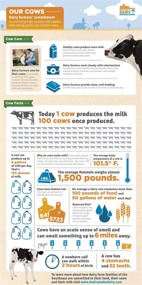 Dairy Farming Facts Farm House