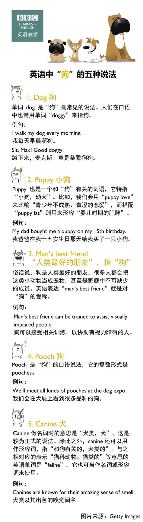 英语中 狗”的五种说法