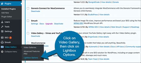 How To Use Video Gallery By Origincode In Wordpress Greengeeks