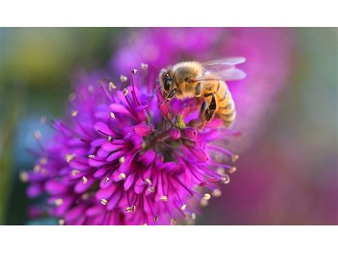 Exposure Adam Spence Cnet