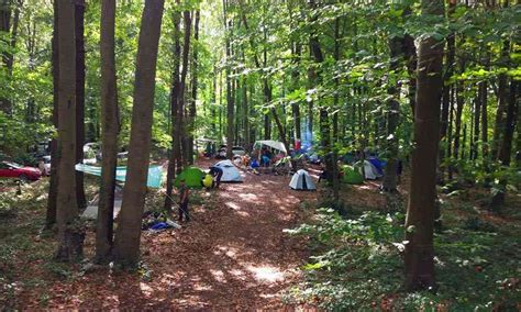 Belgrad Ormanı Nerede Nasıl Gidilir Giriş Ücreti 2023