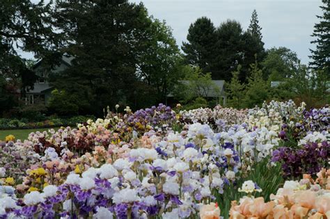 Mid America Garden Salem Or