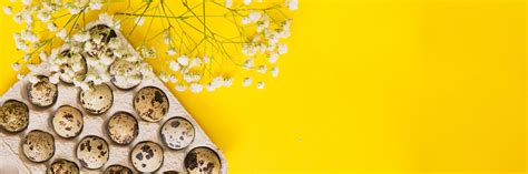 부활절 배경 노란색 배경에 다양한 계란 천연 식물 요소로 장식 평평한 누워 위에서 보기 텍스트를 위한 빈 공간 0명에 대한 스톡 사진 및 기타 이미지 Istock