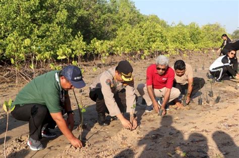 Sebanyak 1 870 Pohon Berhasil Di Tanam Humas Polda NTT Dalam