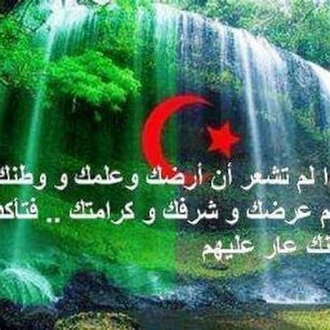 Sofyen Cherifi Youtube