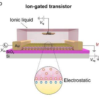 Fabrication Process Of An On Chip Microcell A Schematic Illustration Download Scientific