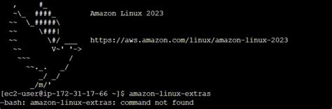Can You Install Amazon Linux Extras In Amazon Linux 2023 Cloudkatha