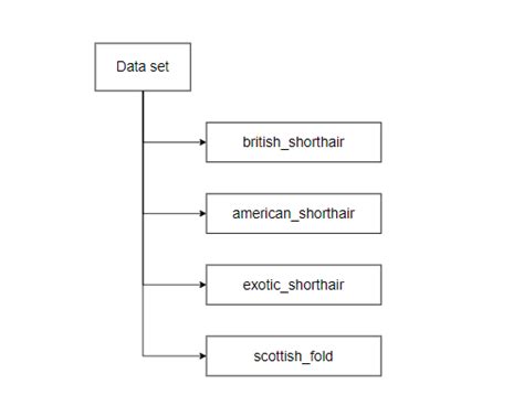 GitHub BPhanuphong Cat Breed Images Classification
