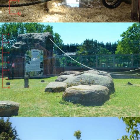Enclosure Dimensions Download Scientific Diagram