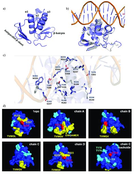 Structure Of The Dna Binding Domain Of A Baumannii Ompr And