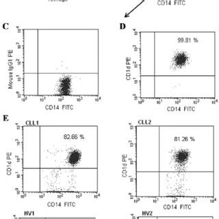 Representative Dot Plots Illustrating The Method Of Analysis For The