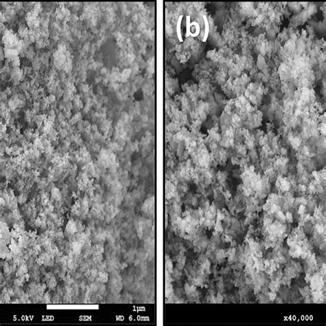 Copper Oxide Bunnings At Mary Benally Blog