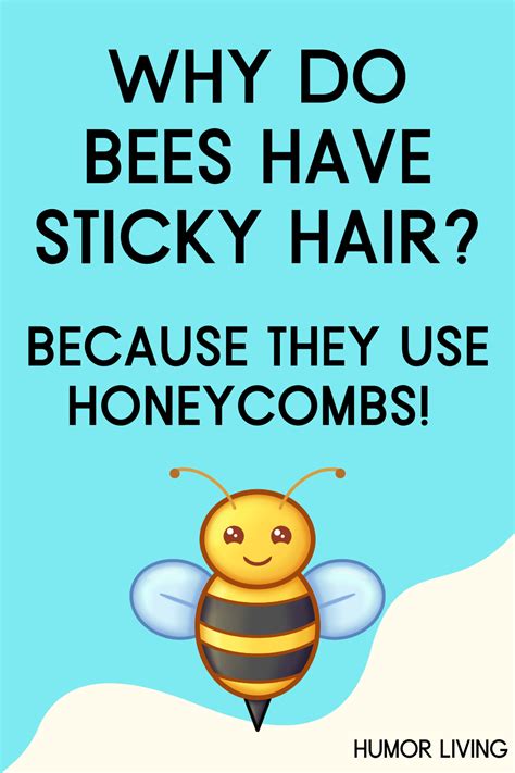 Why Do Bees Have Sticky Hair Because They Use Honeycombs Bee