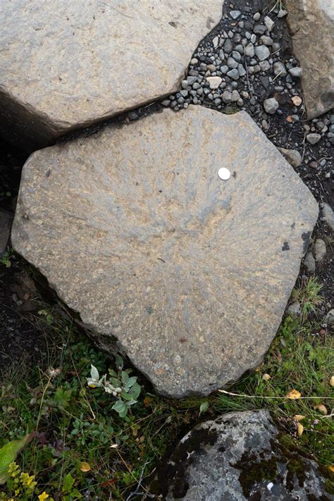 Basalt Column Cross Section Iceland Geology Pics