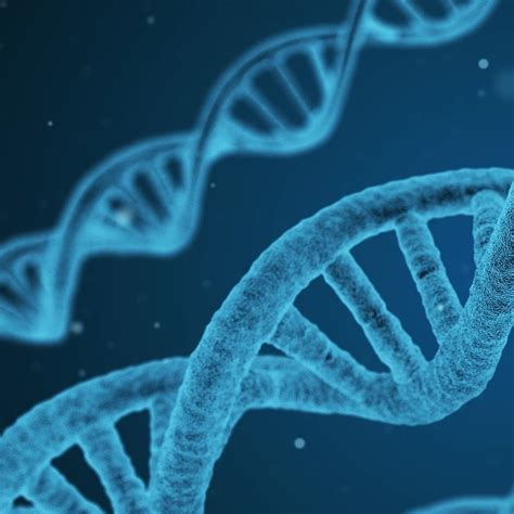 The Convoluted History Of The Double Helix Royal Society