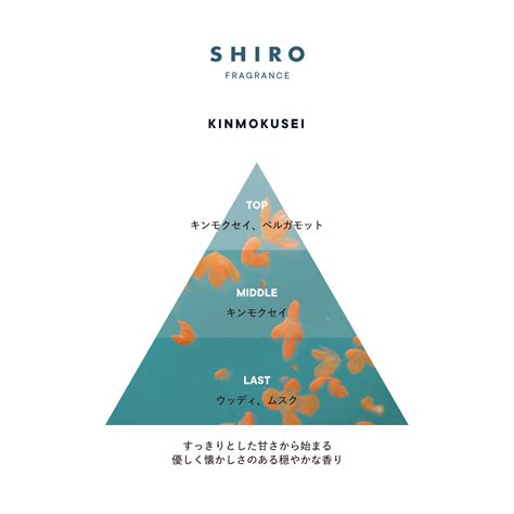 ランドリーキット（ランドリーリキッド＆ファブリックソフナー） Shiroオフィシャルサイト
