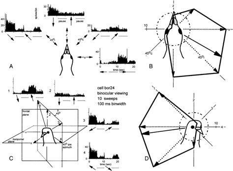 responses of a x0z translation neuron a and b azimuth tuning in the