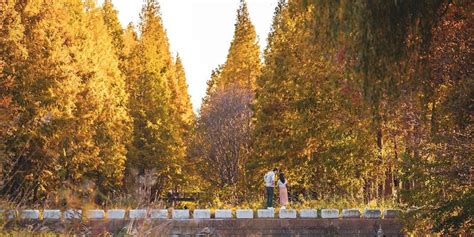 가을 단풍 명소하면 빼놓을 수 없는 이곳 형형색색 물든 단풍으로 가득한 여행지 여행을말하다