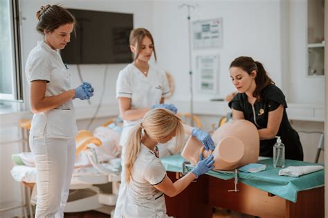 Professional Framework For Midwifery Implementation Guide