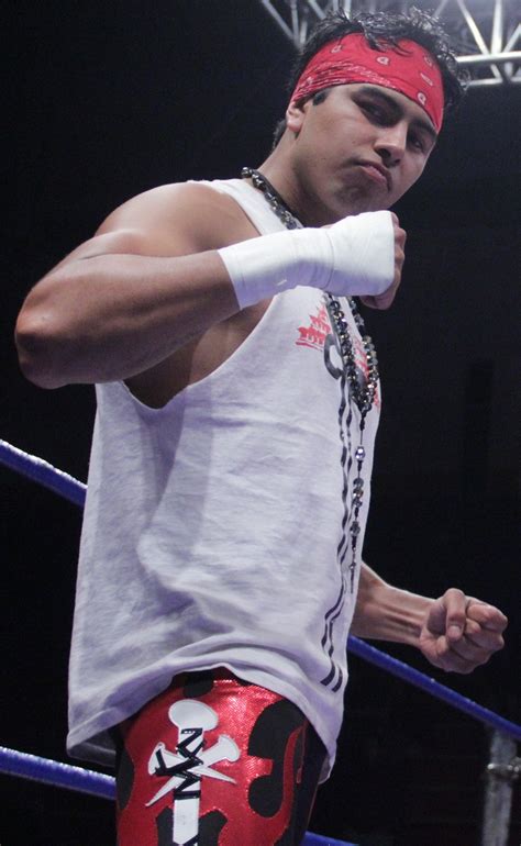 File Jinzo 2013  Luchawiki