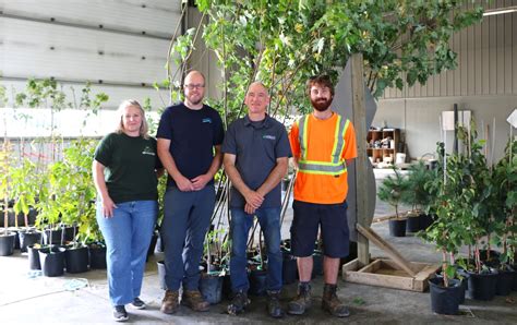 700 Trees Planted In Tree Power Program The Ranch 100 1 Fm