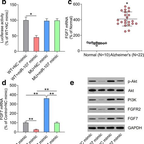 Mir 107 Targets The 3′ Untranslated Region Utr Of Fibroblast Growth