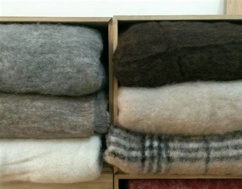 Alpaca Blankets Australian Alpaca Wool Australian Alpaca Wool