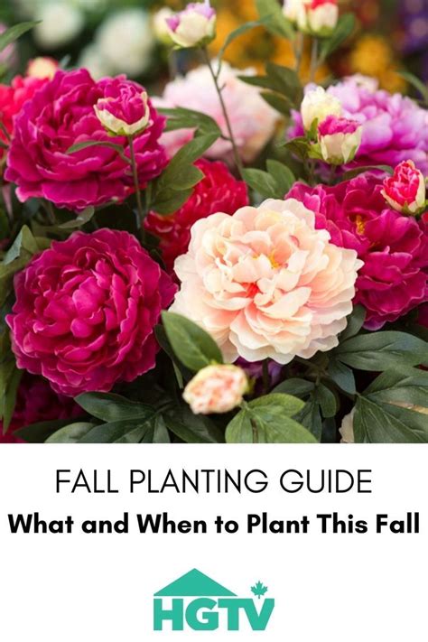 Fall Planting Guide For Missouri At Milla Alex Blog
