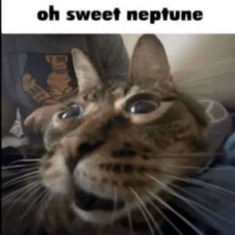 Item Asylum Is Gonna Be In The Hunt Mega Editio Fandom