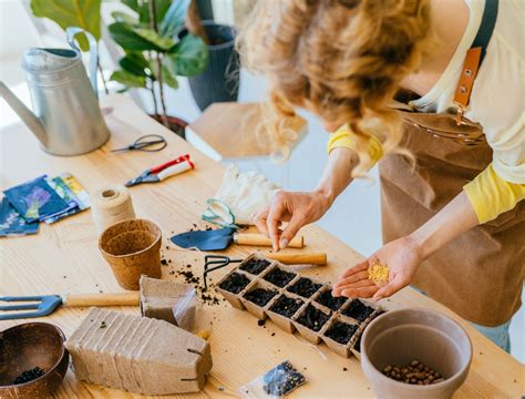 6 Best Flower Seeds To Start Indoors Backyard Boss