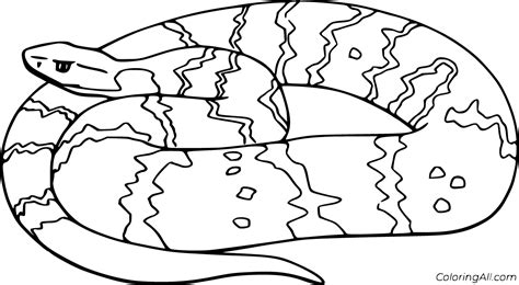 Boa Constrictor Coloring Pages 6 Free Printables Coloringall