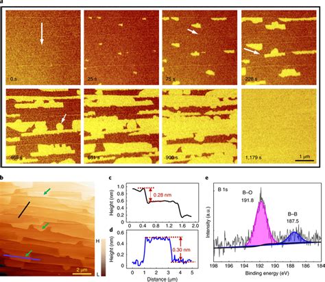Growth Dynamics Of The Borophene On The Cu111 Surface A The Sequence