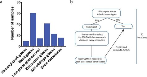 Algorithm For Machine Learning Analysis Of Plasma Based Brain Tumor Download Scientific Diagram