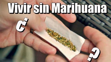 Las mejores frases para disfrutar al máximo al pasar el porro