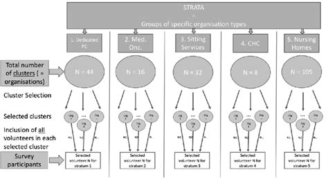 Model Representation Of Stratified Cluster Randomised Sample Method Download Scientific Diagram