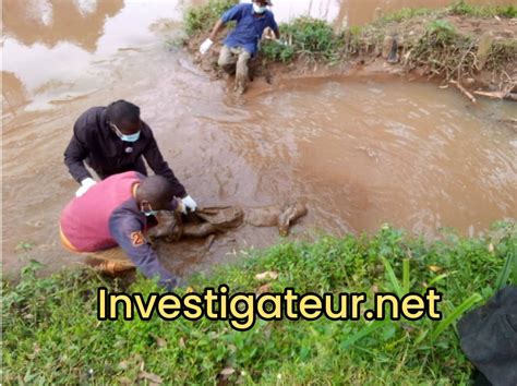 Lubero Un corps sans vie dun homme découvert dans la rivière Mususa