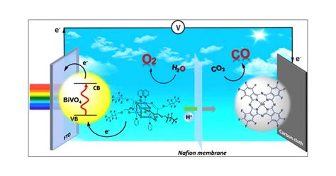 Selective Co Production By Photoelectrochemical Co2 Reduction In An