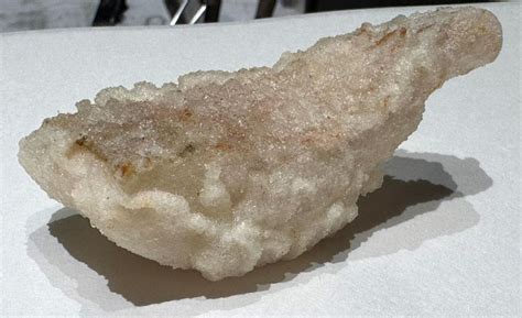 Vinous Table ﻿mudan Tempura Taipei Taiwan Feb 2025 Vinous