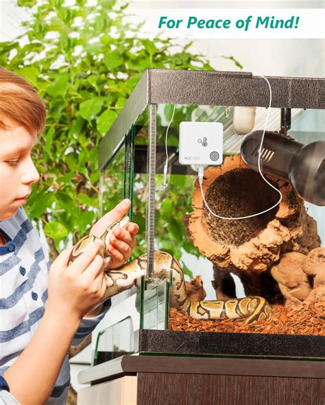 Temperature And Humidity Sensor St9 Mocreo