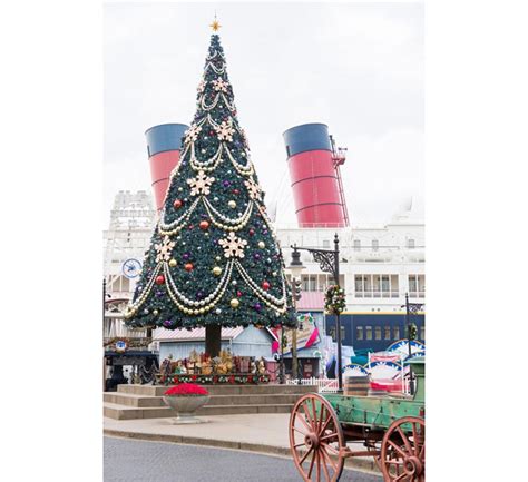 【公式】本日からクリスマスのスペシャルイベントがスタート！｜東京ディズニーリゾート・ブログ 東京ディズニーリゾート
