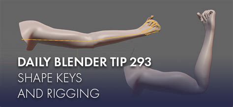 Daily Blender Tip 293 Muscle Deformations Blendernation