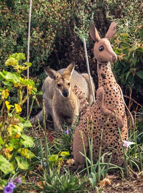 Juxtaposition Vs Oxymoron Difference And Comparison