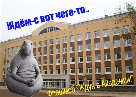 Максимально полезные заметки Коллаж