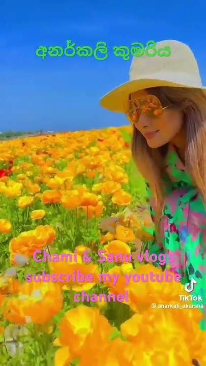 මල් වගේම ලස්සන කවුරුත් දන්න අනර්කලී ආකර්ෂා ඇමරිකාවේ ගෙවන සුපිරි ජීවිතය Subscribe Share