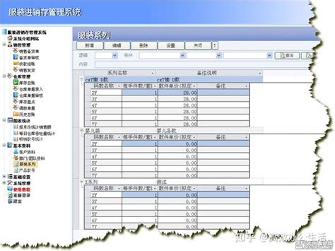 Access Vba开发的企业级进销存管理系统 知乎